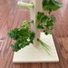 Bunny Lettuce Tree: Wood Foraging Toy, Rabbit Enrichment - Etsy