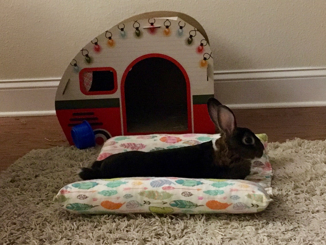 Bunny Lounger Pillow Small Pet Bed Rabbit Pet Pillow Bunny - Etsy