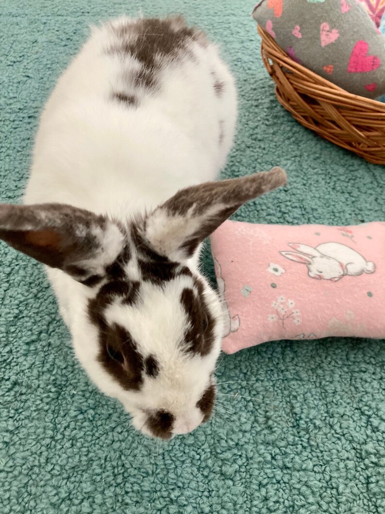 Bunny Toss Pillow Toy Small Pet Toy Rabbit Enrichment Toy - Etsy