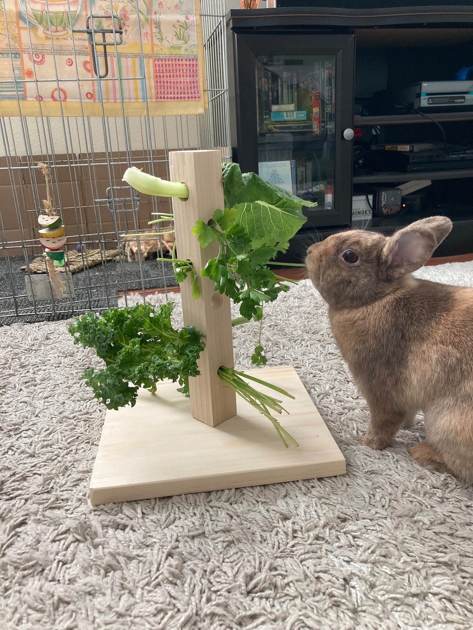 Bunny Lettuce Tree: Wood Foraging Toy, Rabbit Enrichment - Etsy
