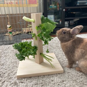 Bunny Lettuce Tree: Wood Foraging Toy, Rabbit Enrichment - Etsy