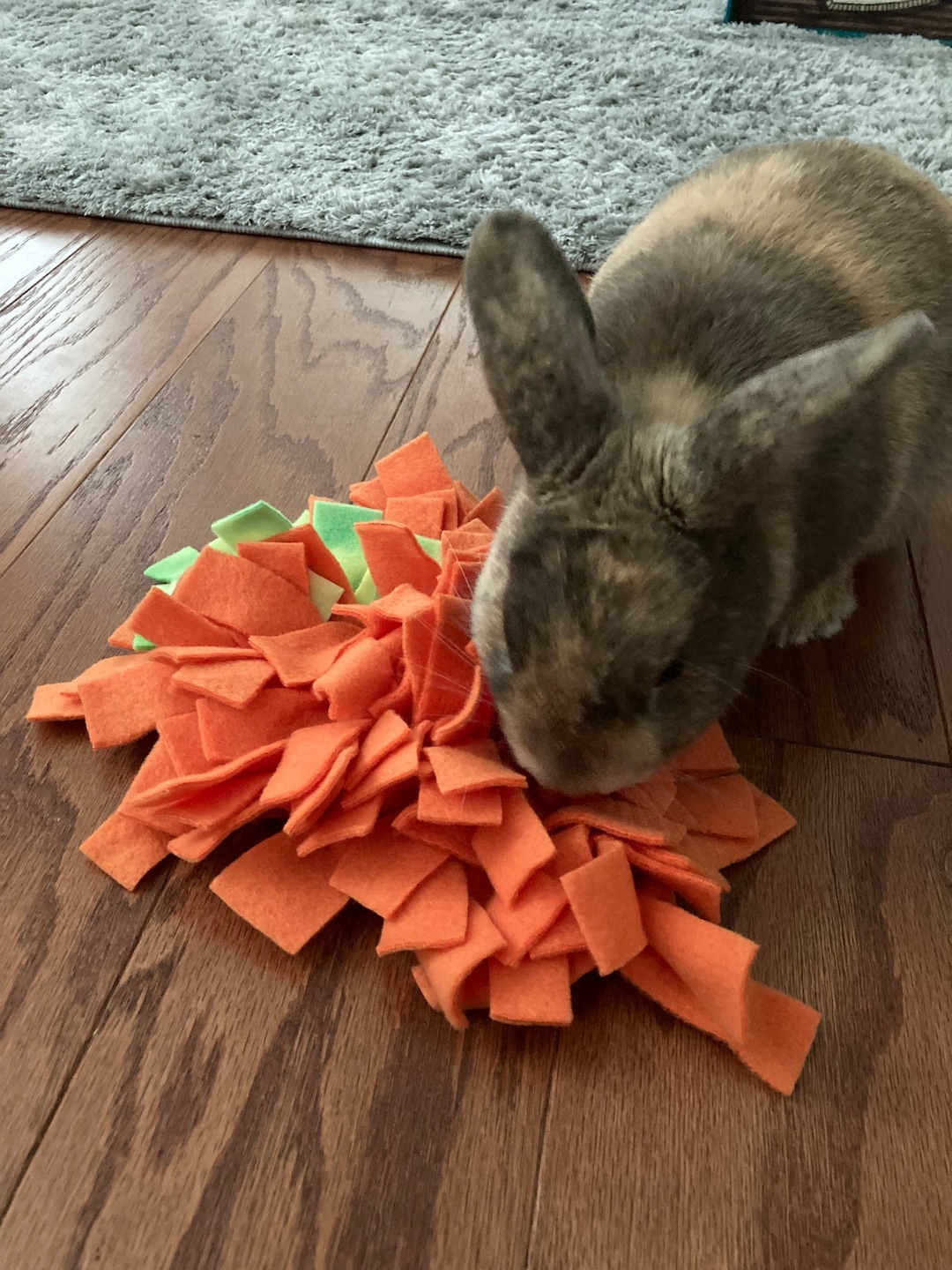 Carrot Snuffle Mat: Rabbit Foraging Enrichment Toy - Etsy
