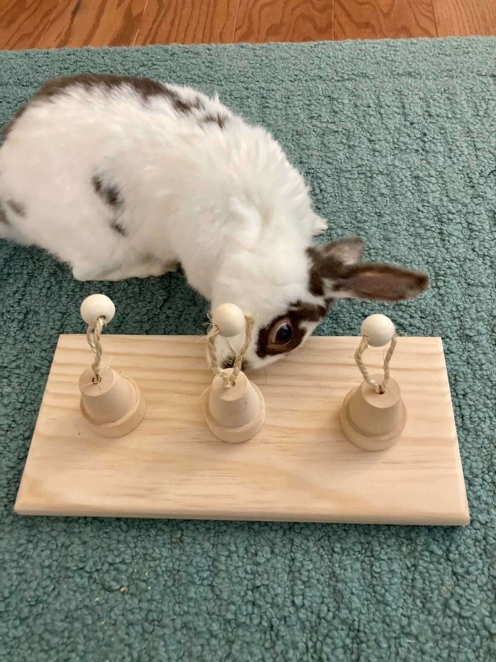 Bunny Wood Hide a Treat Toy 2.0 Version Small Pet Chew Toy - Etsy