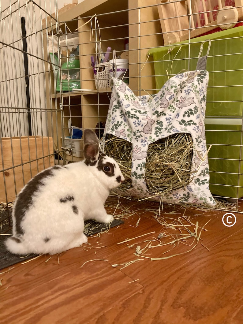 Bunny Rabbit Hay Feeder Bag Small Pet Hanging Hay Container | Etsy