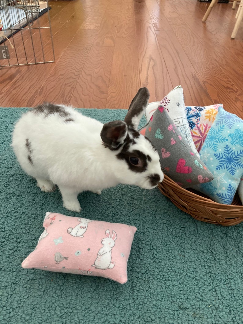 Bunny Toss Pillow Toy Small Pet Toy Rabbit Enrichment Toy - Etsy