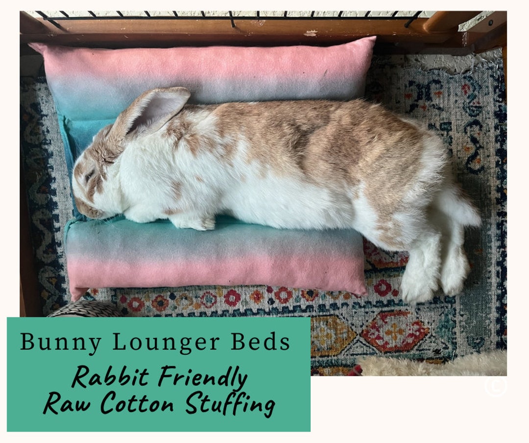 Bunny Lounger Bed With Raw Cotton Stuffing, Small Pet Rabbit Pillow ...