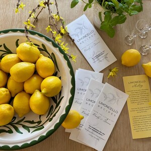 Custom Limoncello Recipe Guide Personalized 8 Recipes - Elevate Your ...