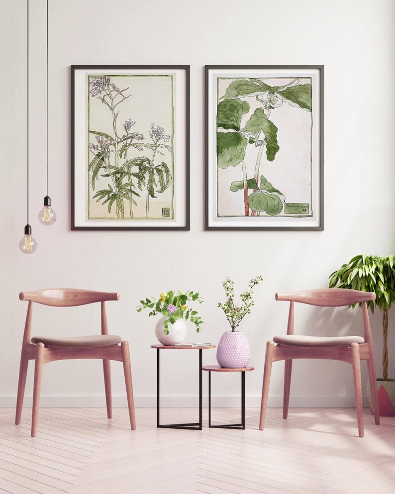 Hannah Borger Overbeck Botanical Print Set, Trillium Flower Drawing ...