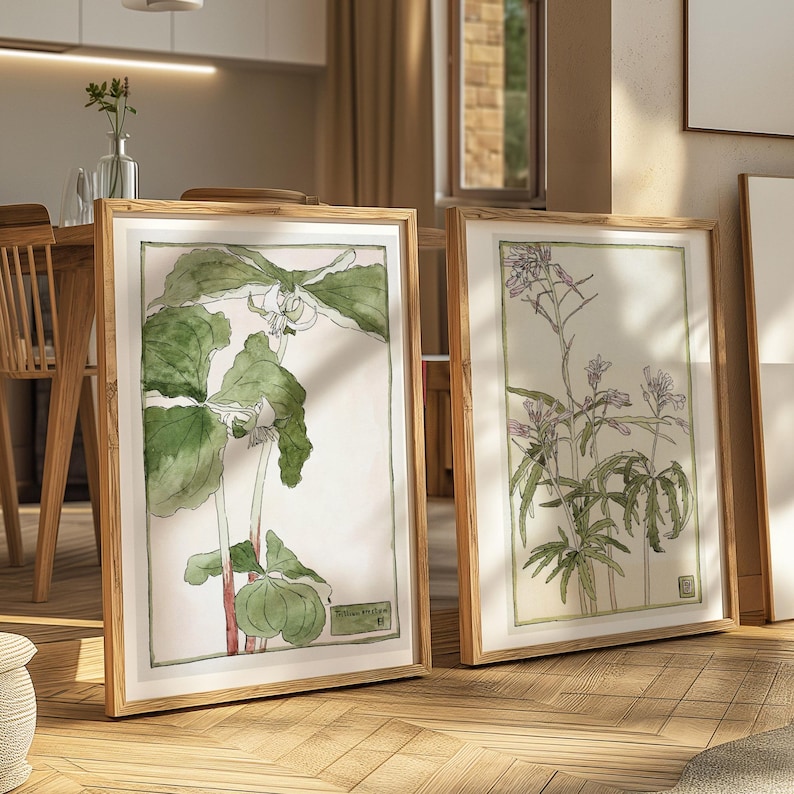 Hannah Borger Overbeck Botanical Print Set, Trillium Flower Drawing ...