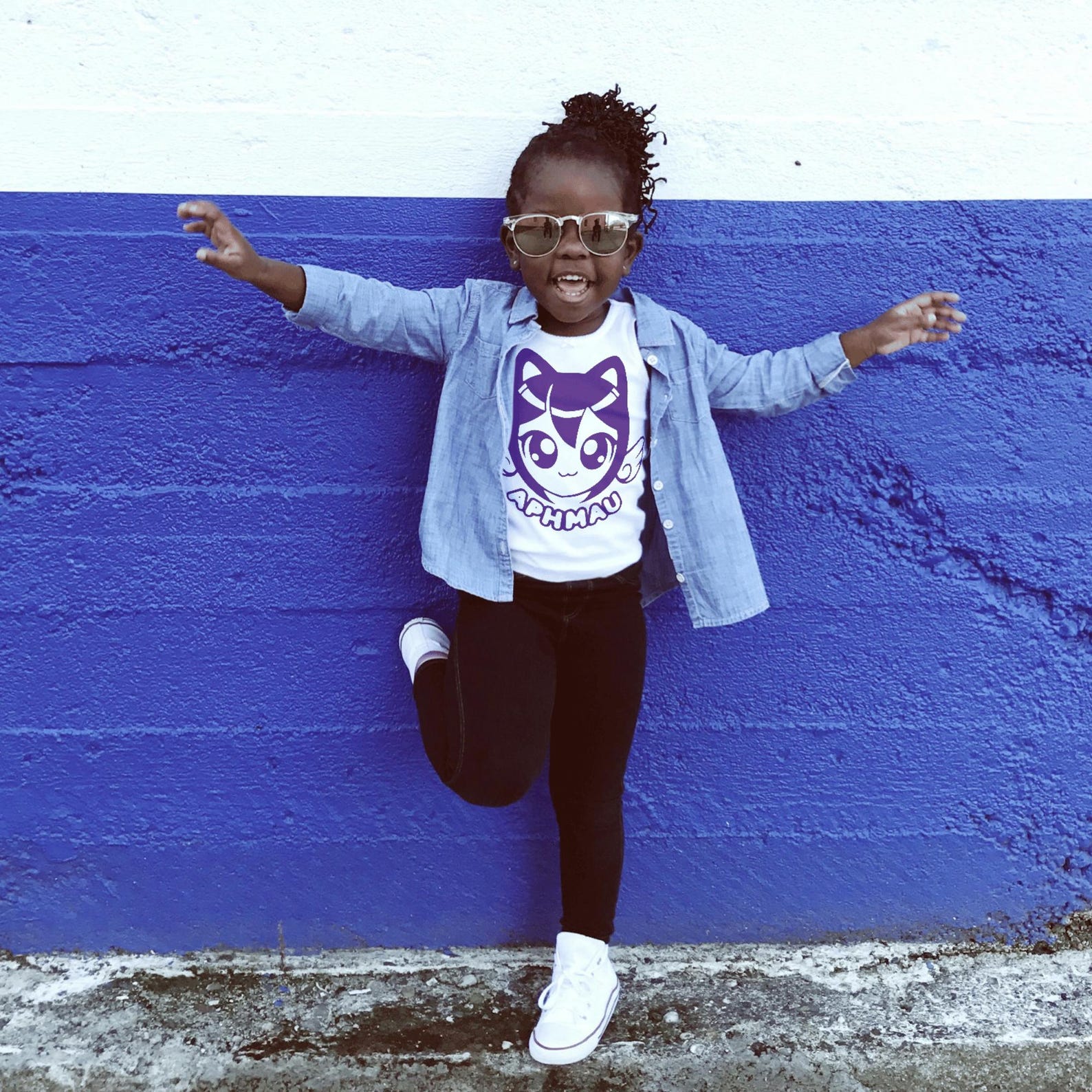 Aphmau Svg Png Bundle, Meemeows, Jet Corgi, 6 Pack, Svg,png,dxf,eps,pdf ...