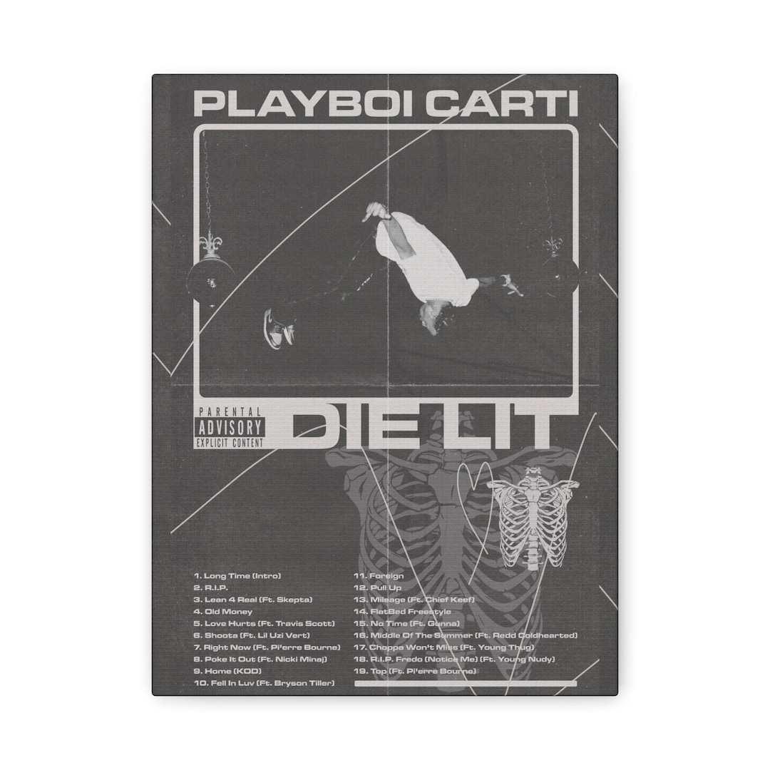 Playboi Carti Die Lit Album Cover, Matte Canvas, Stretched, 1.25, 9x12 ...