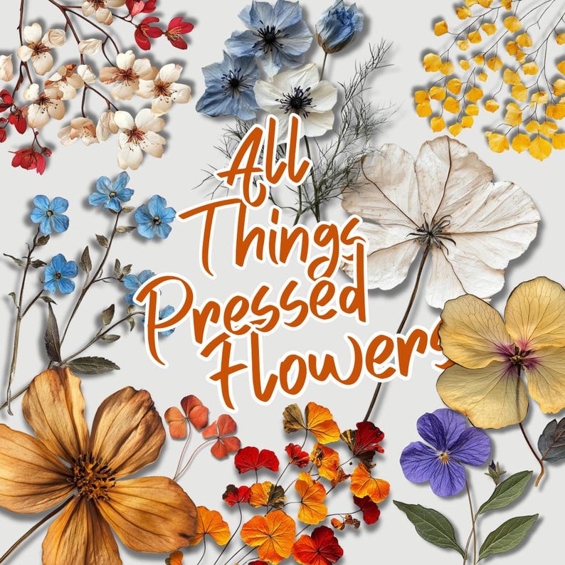 150 PNG Clipart | Printable Images | PNG | SVG | Digital Files ...