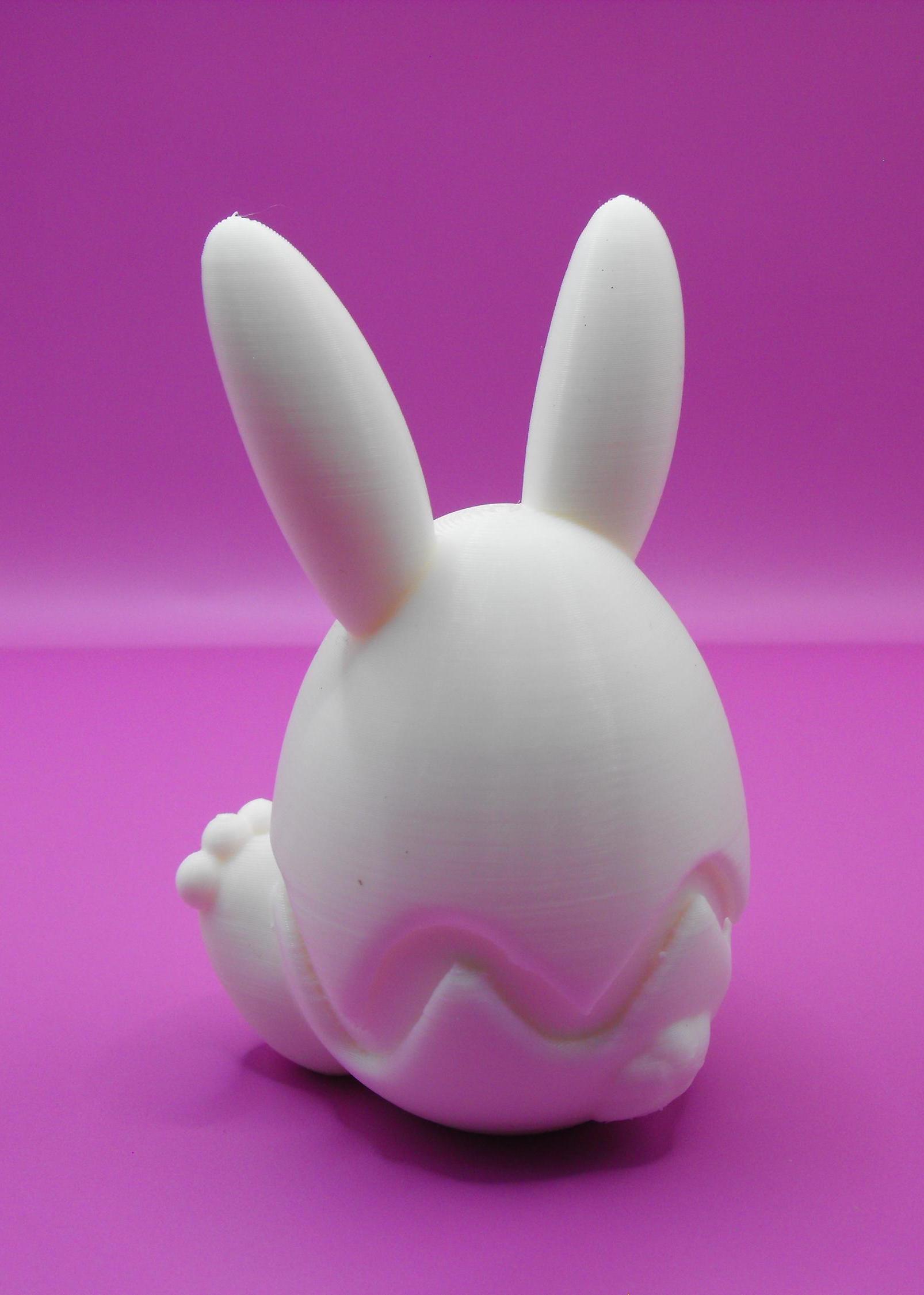 6 Pack of 3D Printed Easter Bunny Egg Paintable Easter Craft Kids Craft ...