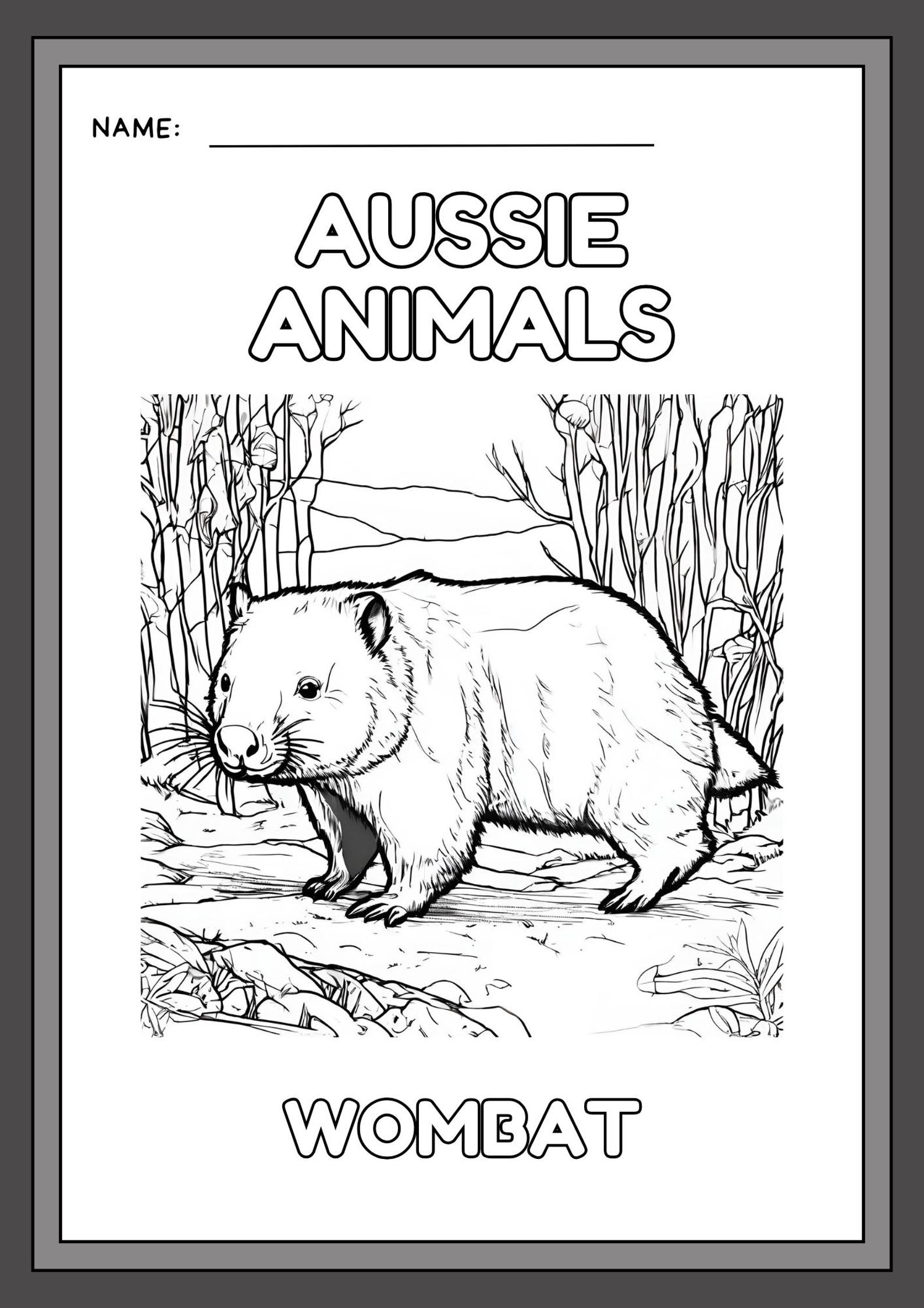 Aussie Animals Colouring Pages Printable | Australian Wildlife Digital ...