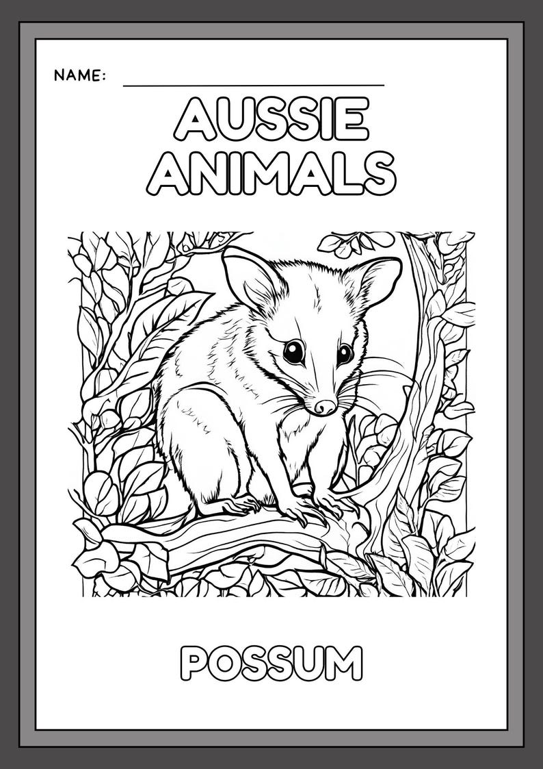 Aussie Animals Colouring Pages Printable | Australian Wildlife Digital ...
