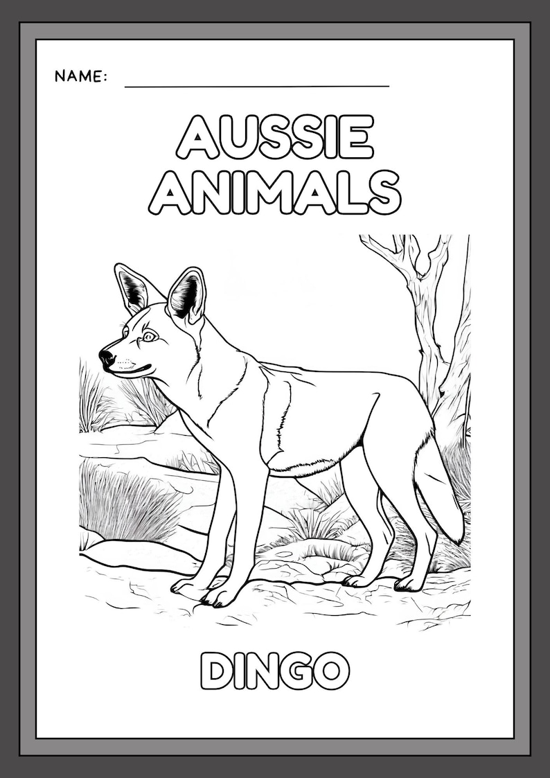 Aussie Animals Colouring Pages Printable | Australian Wildlife Digital ...