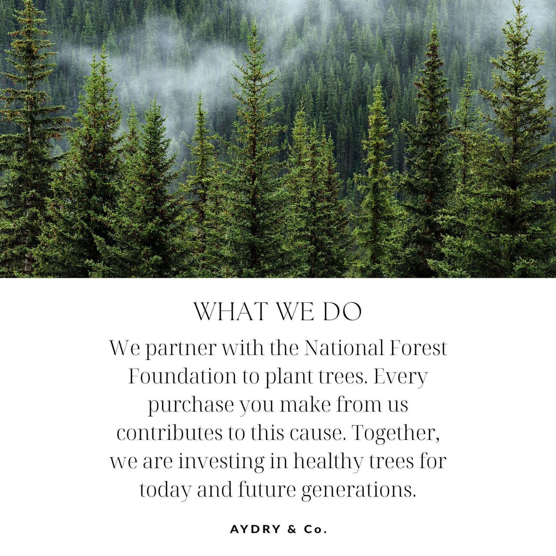 Bohemian Forest Fragrance Mist: Woody Linen & Room Spray - Etsy