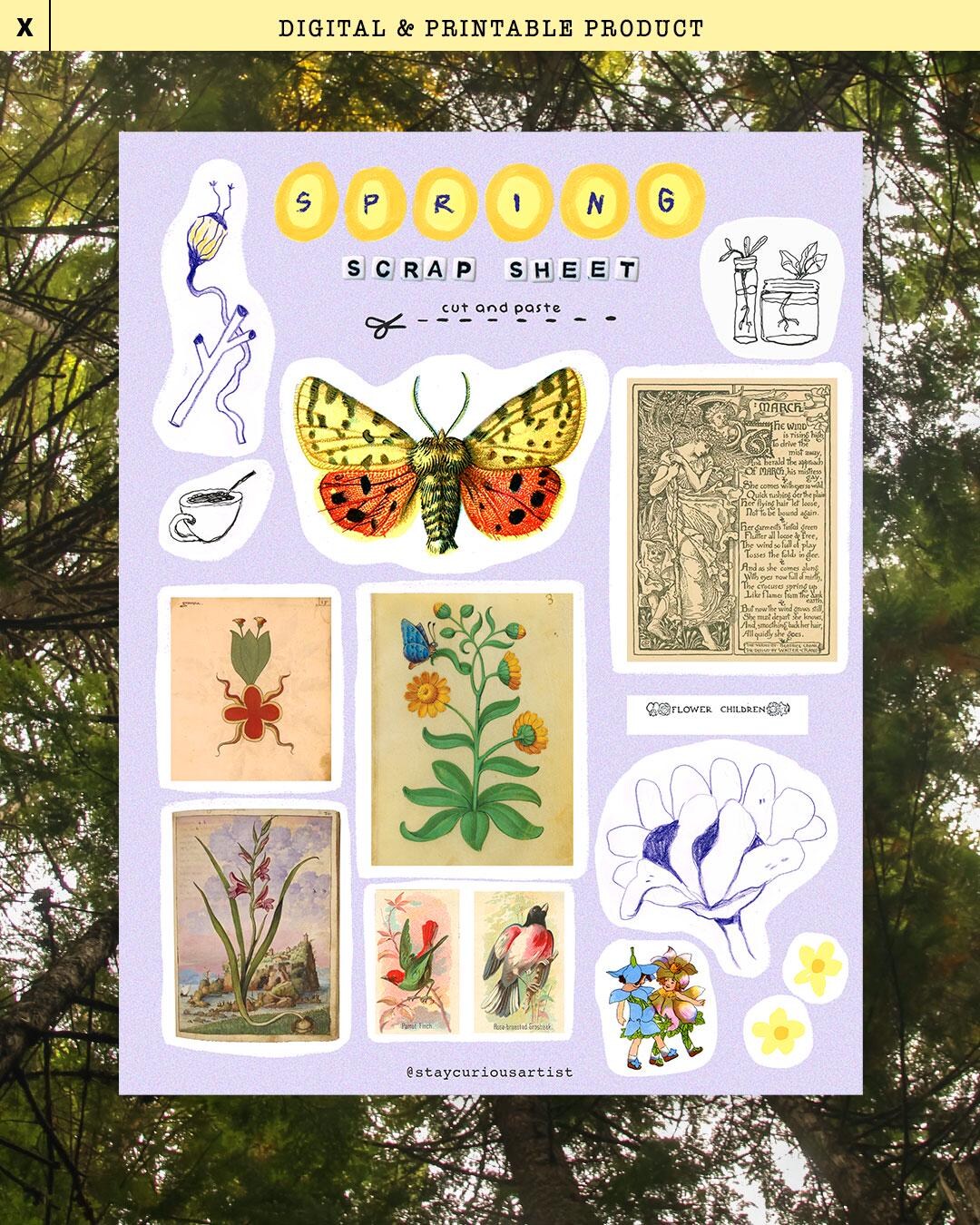 Spring Digital Scrap Sheet - Spring Journal Pack, Printable Botanical ...