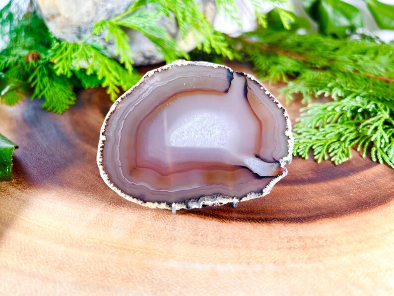 Montana Agate Display Slab | Polished Black Brown Chalcedony Agate ...