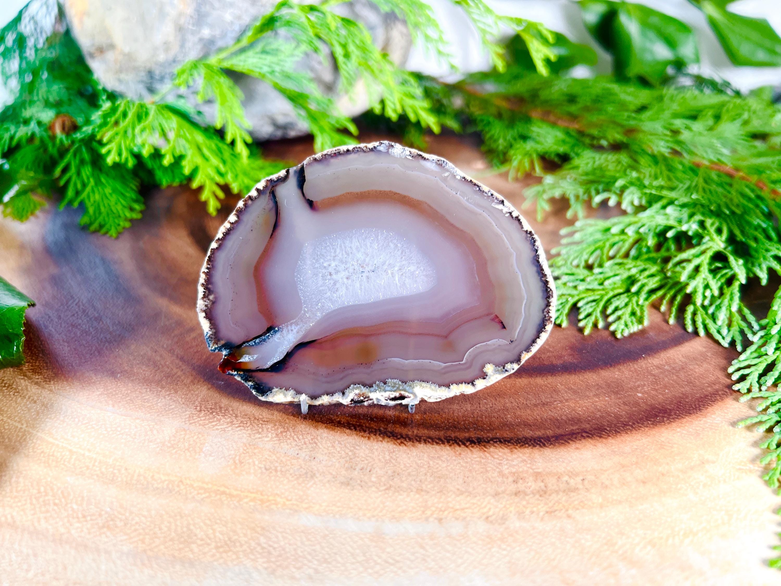 Montana Agate Display Slab Polished Black Brown Chalcedony Agate Stone ...