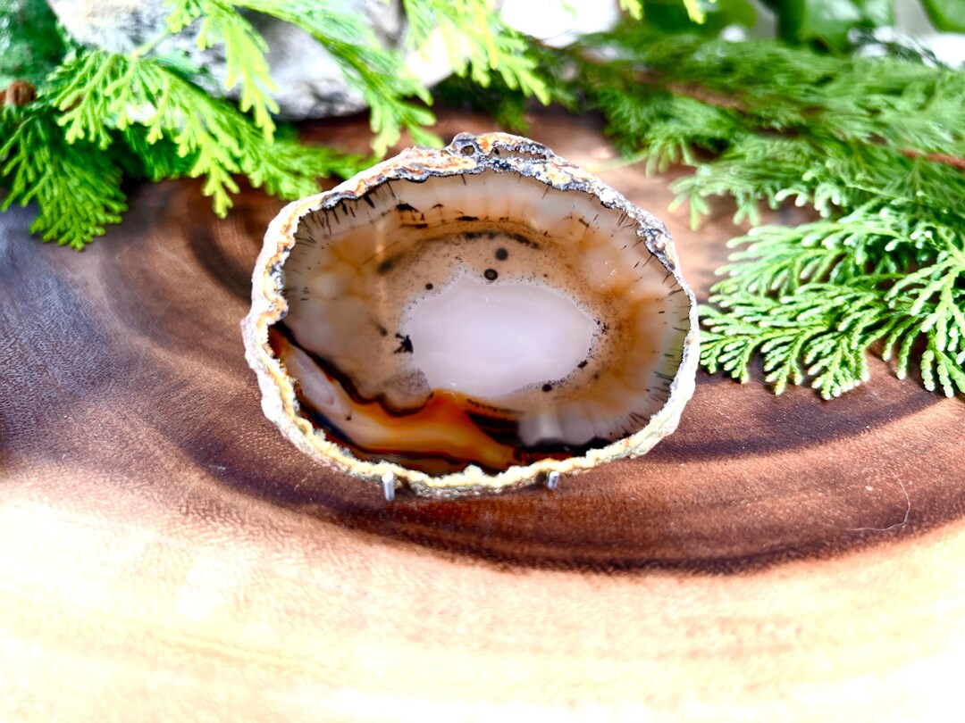 Montana Agate Display Slab | Polished Black Brown Chalcedony Agate ...