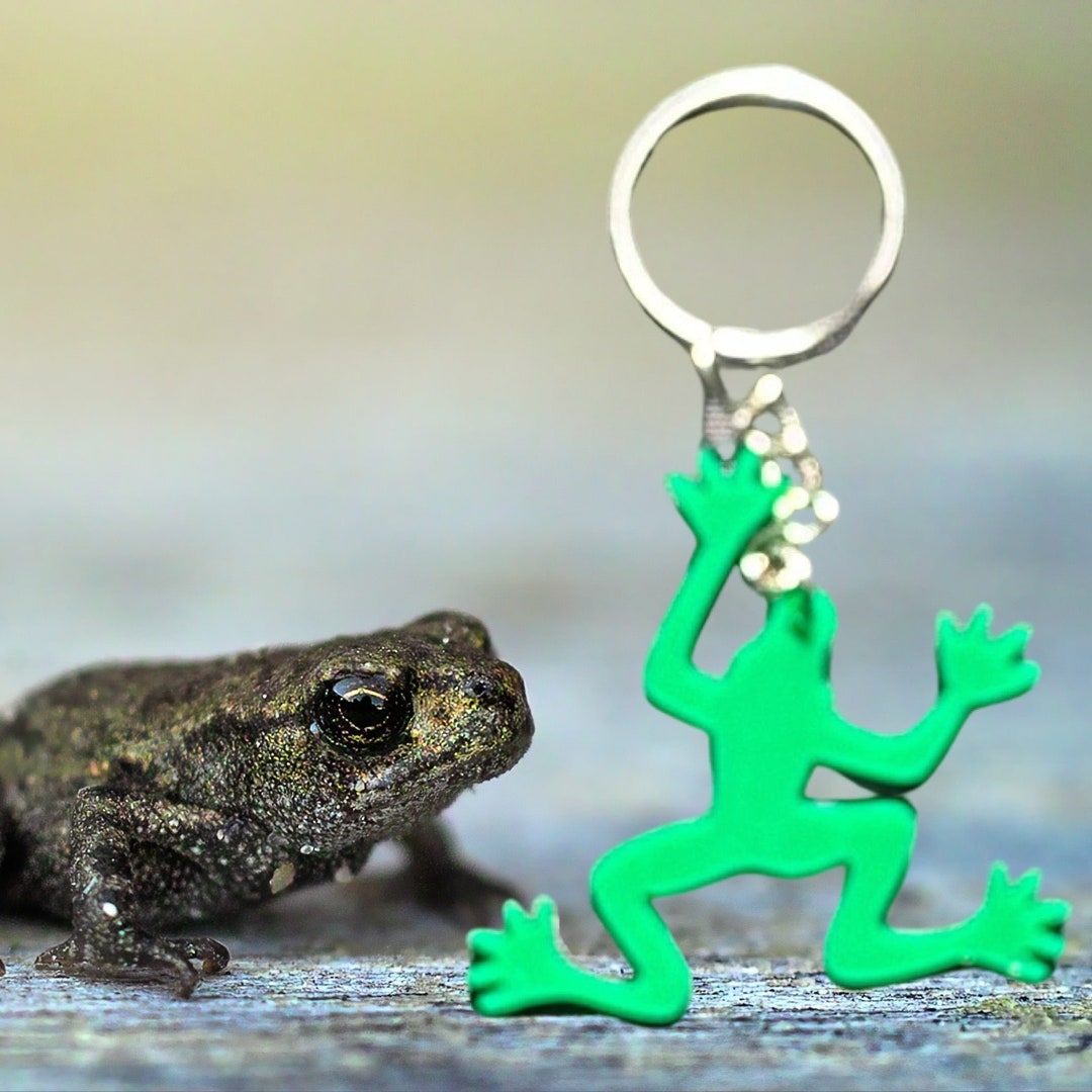 Frog Laser Cut Lightweight Acrylic Keychain - Etsy