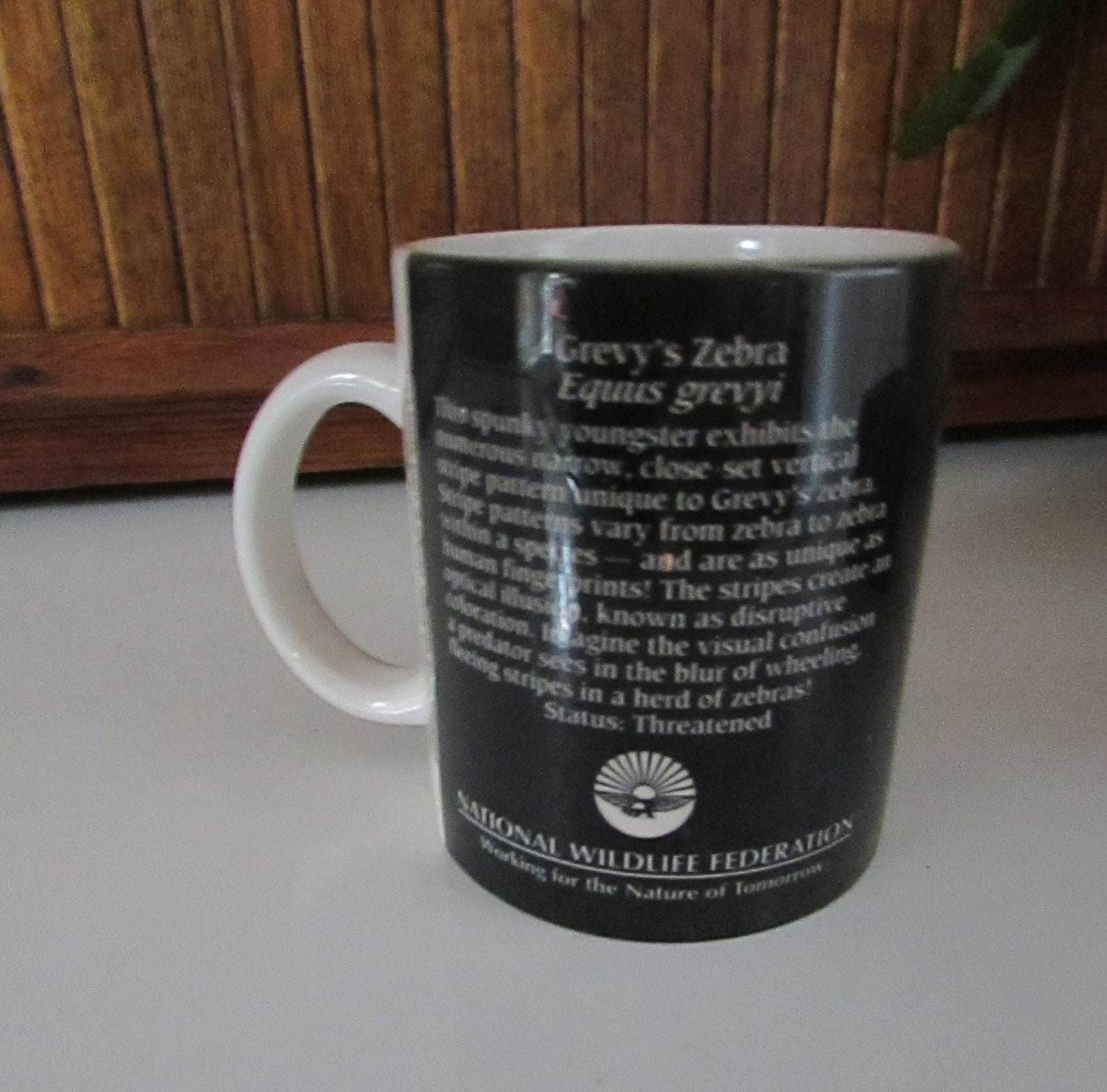 Grevys Zebra Mug 1993 National Wildlife Federation Ceramic Mug Vintage ...