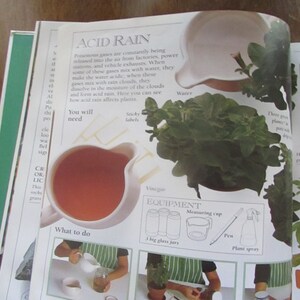 My First Green Book – A Life-size Guide to Caring for Our Environment ...