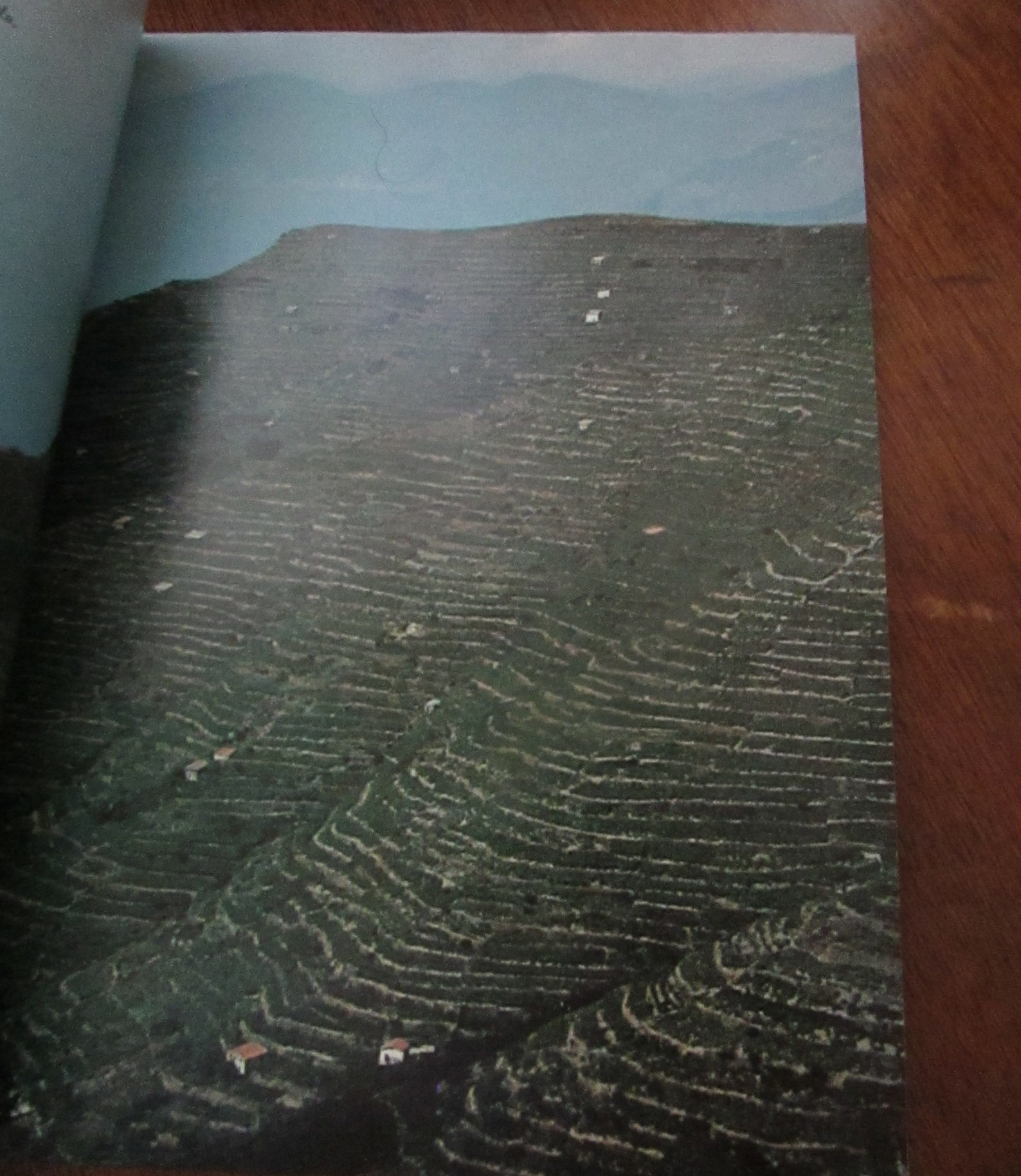 June 1963 Issue - National Geographic Magazine – Original Copy ...