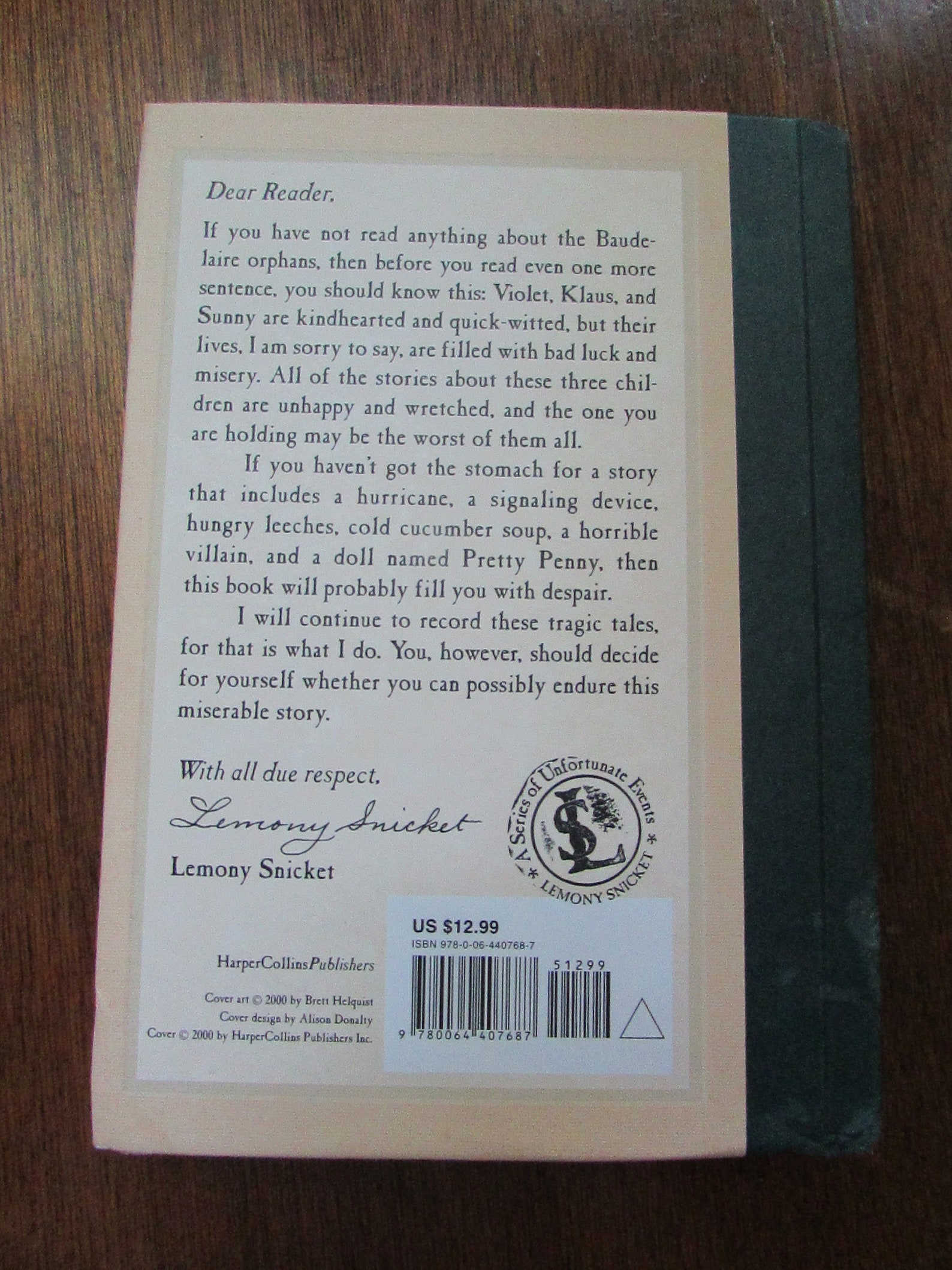 The Wide Window ASOUE Book 3 A Series of Unfortunate Events - Etsy Italia