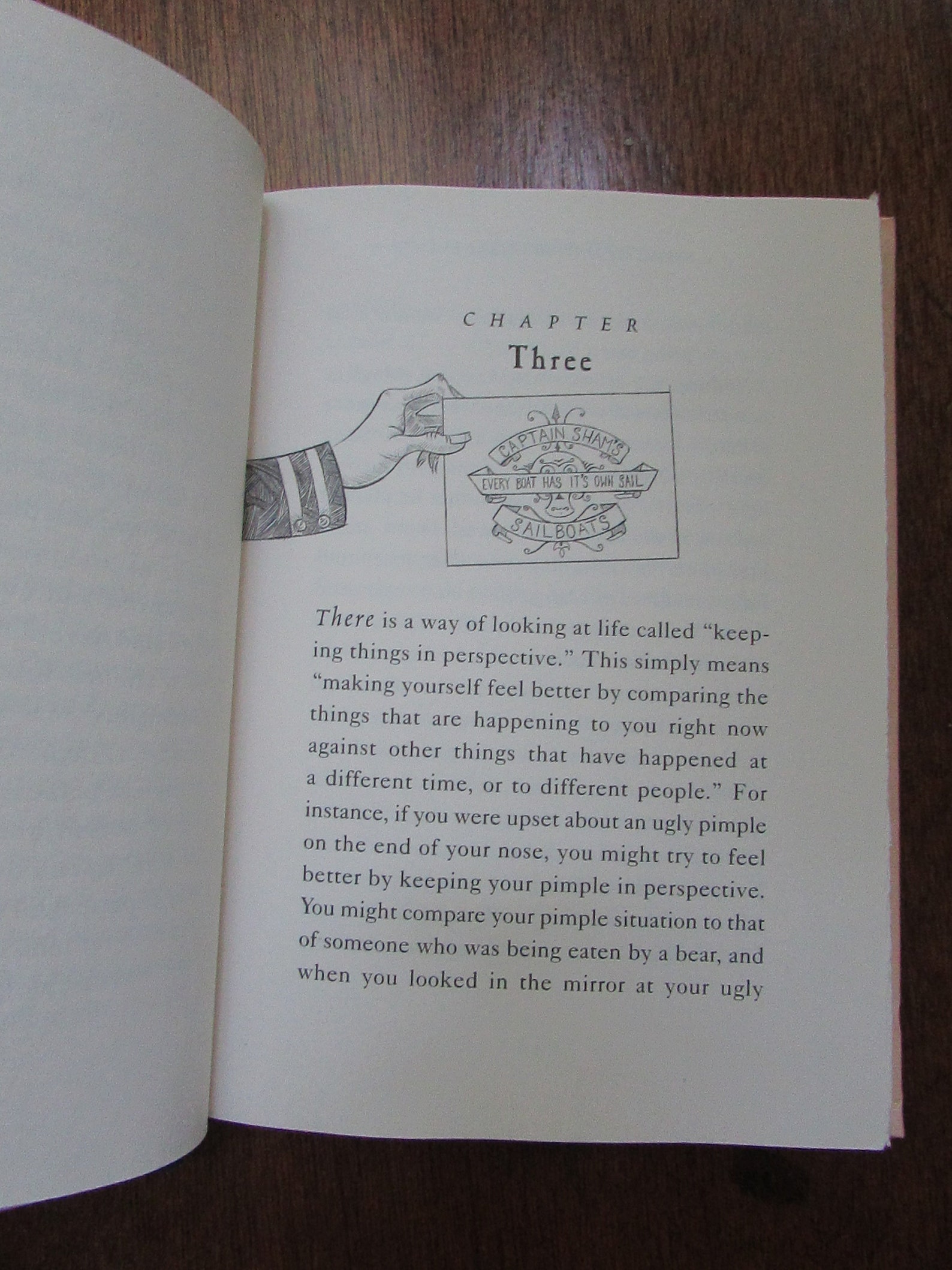 The Wide Window ASOUE Book 3 A Series of Unfortunate Events - Etsy Italia