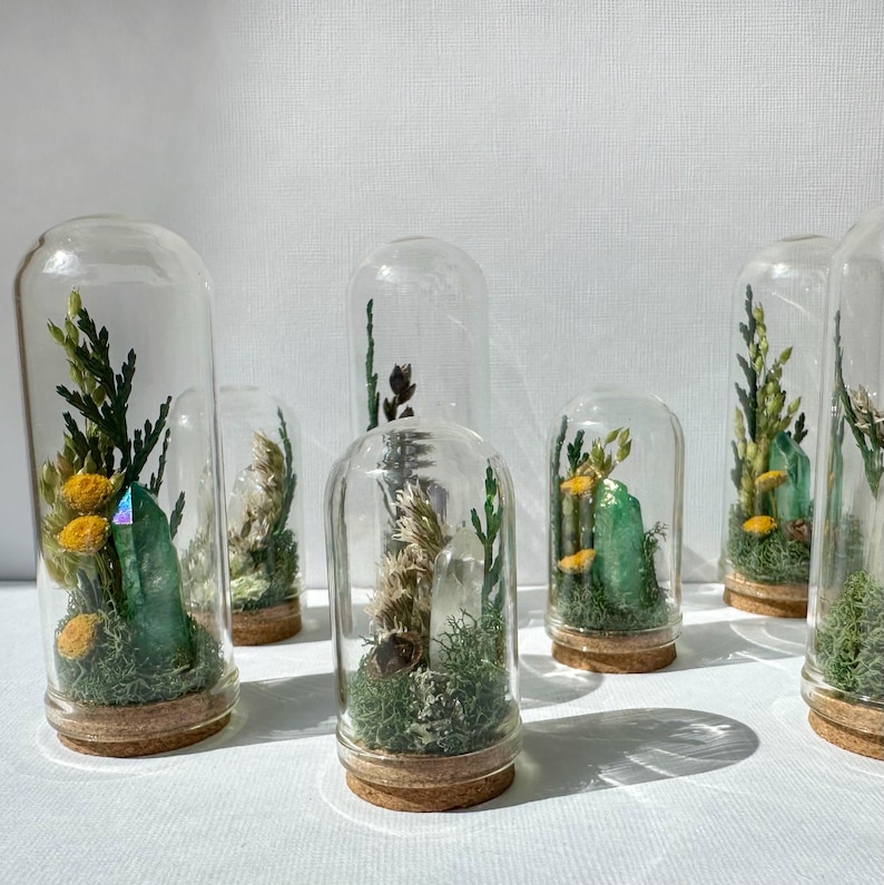 Mini Glass Terrarium: Dried Florals, Crystal, Dark Academia Decor - Etsy