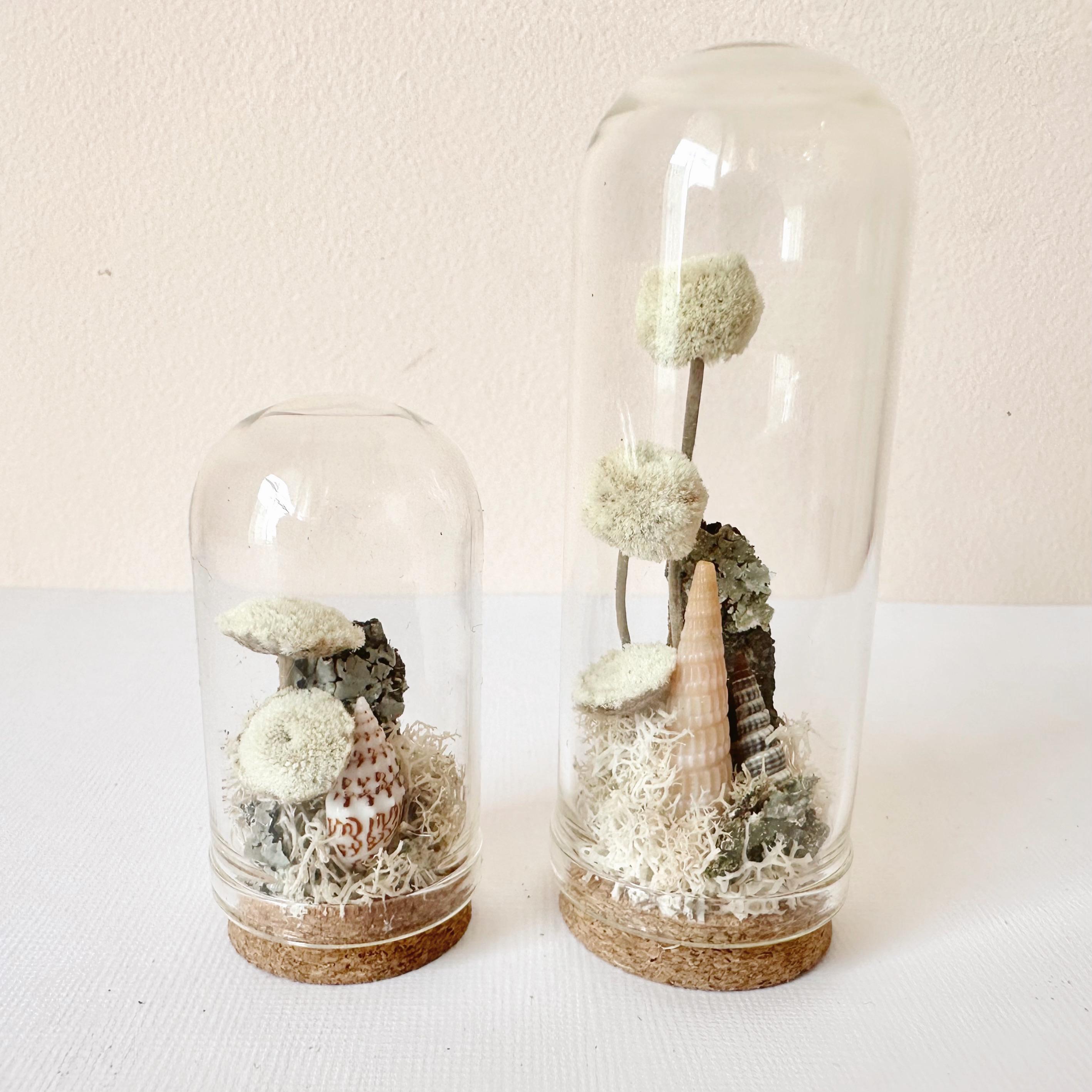 Miniature Crystal Beach Terrarium Glass Diorama Made With Dried Florals ...