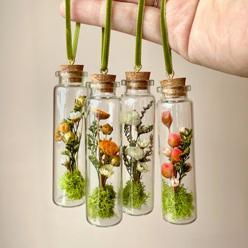 Mushroom Oddity Jar - Etsy