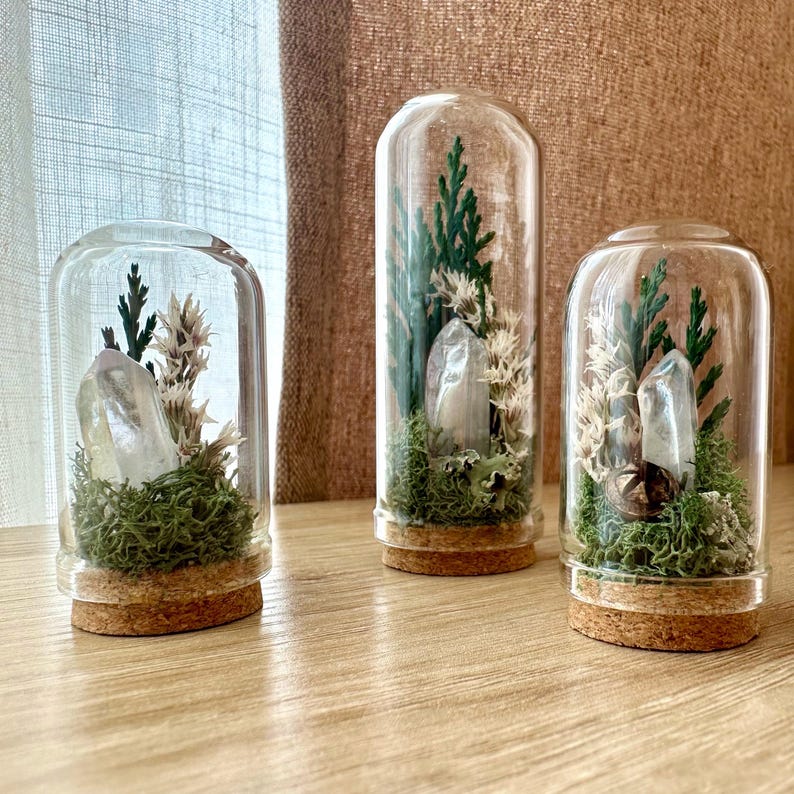 Mini Glass Terrarium: Dried Florals, Crystal, Dark Academia Decor - Etsy