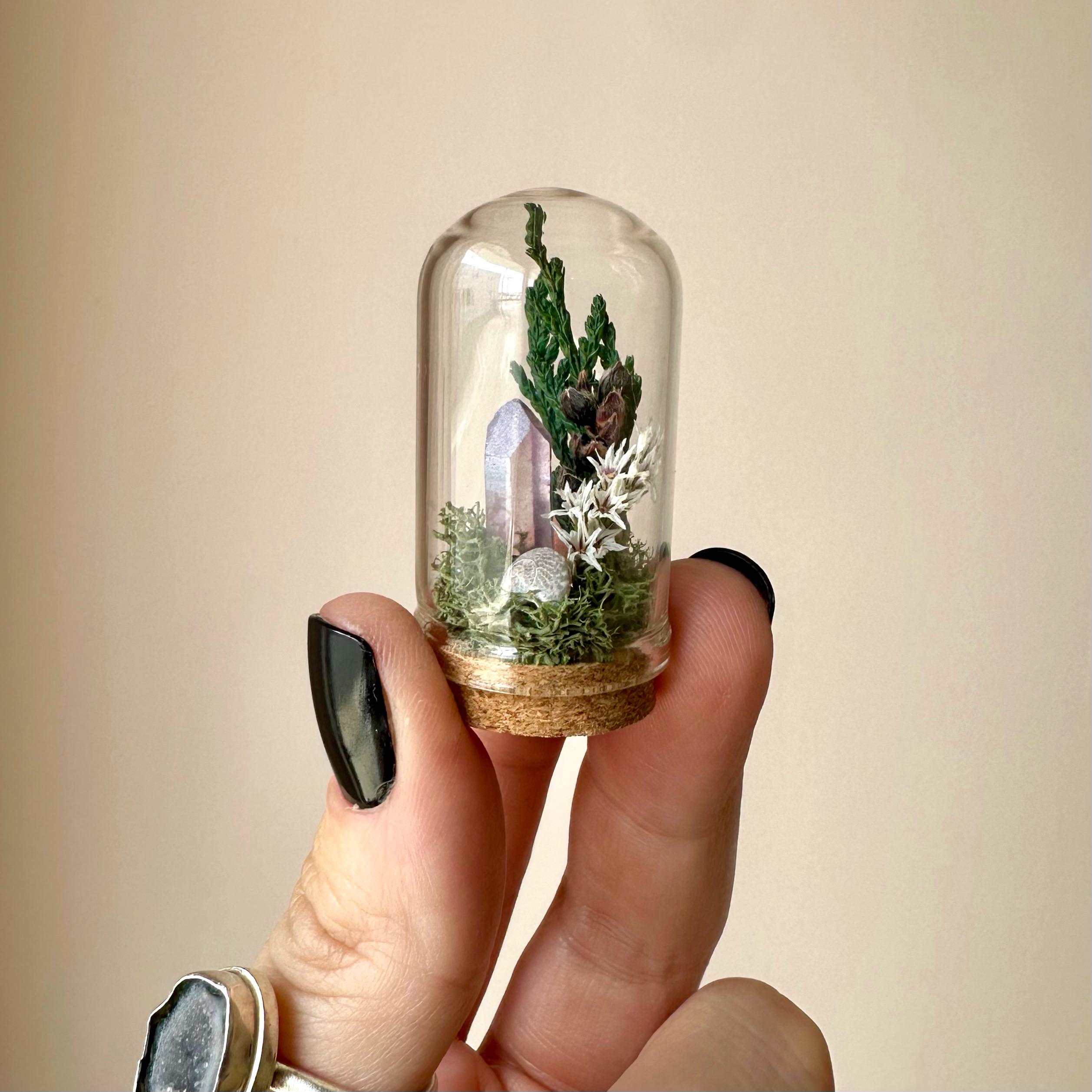 Mini Glass Terrarium: Dried Florals, Crystal, Dark Academia Decor - Etsy