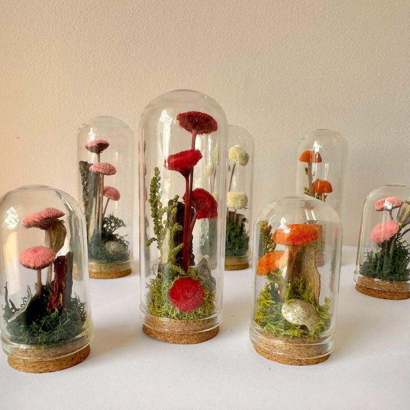 Tiny Terrarium Cottage - Etsy