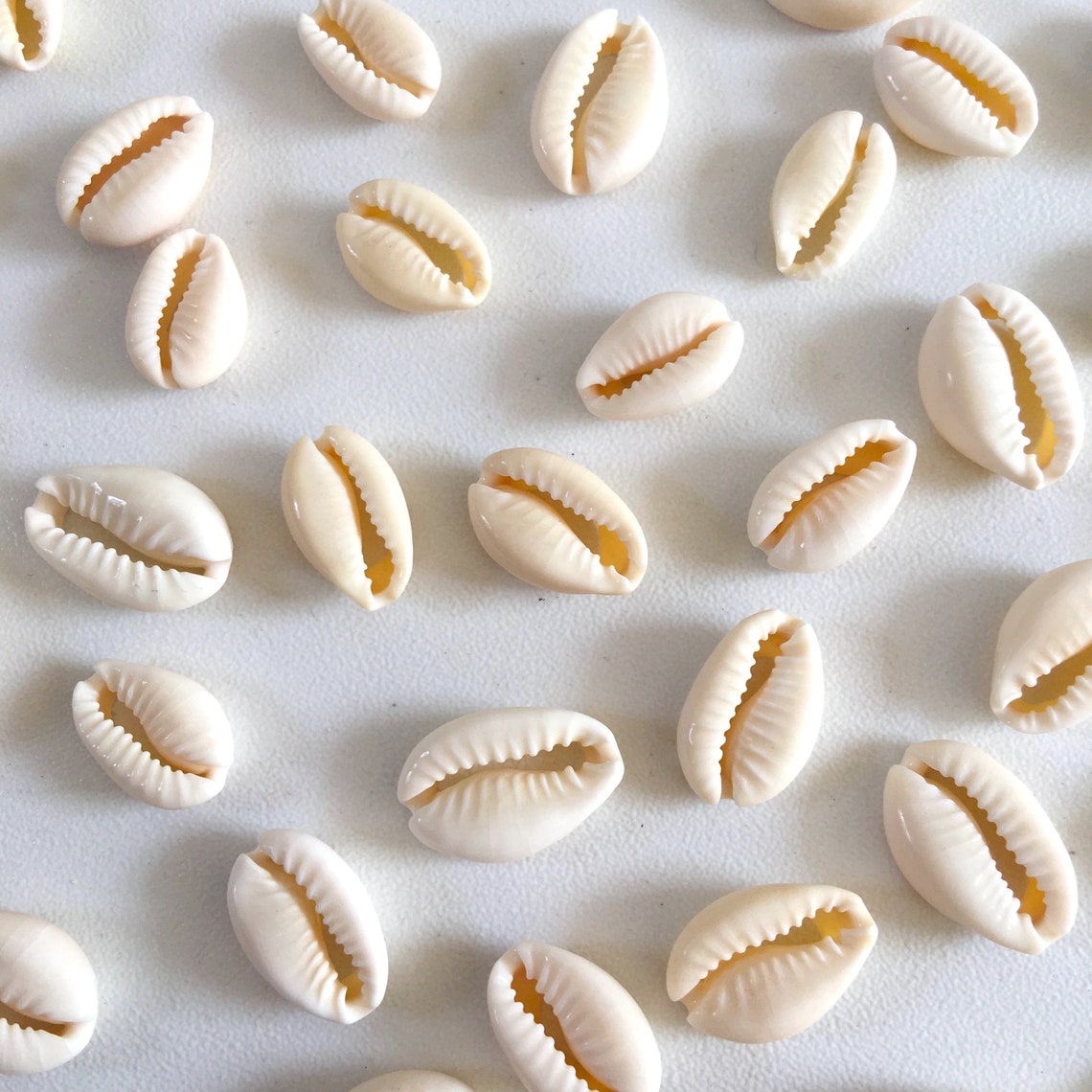 50 Grams Cowrie Shells: Mixed Size, Cut Back - Boho Tribal Crafts - Etsy