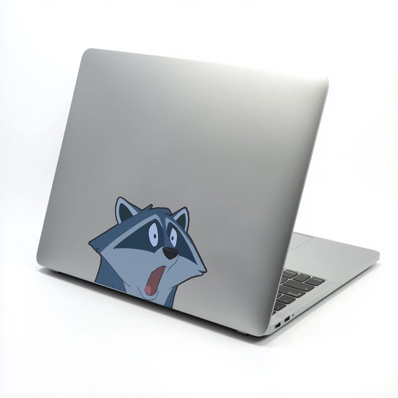 Shocked Raccoon Peeker Peeking Car Window Decal - Bumper Waterproof ...