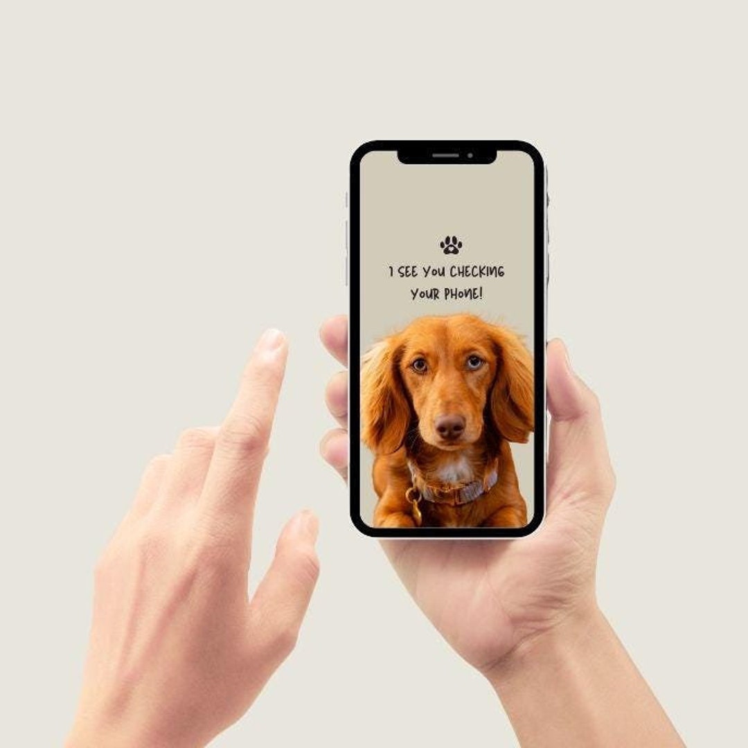 Cute Dachshund Dogs Phone Wallpaper | 4 Different Colours in the Bundle ...