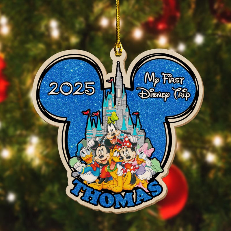 1st Trip Disneyland 2025 - Etsy