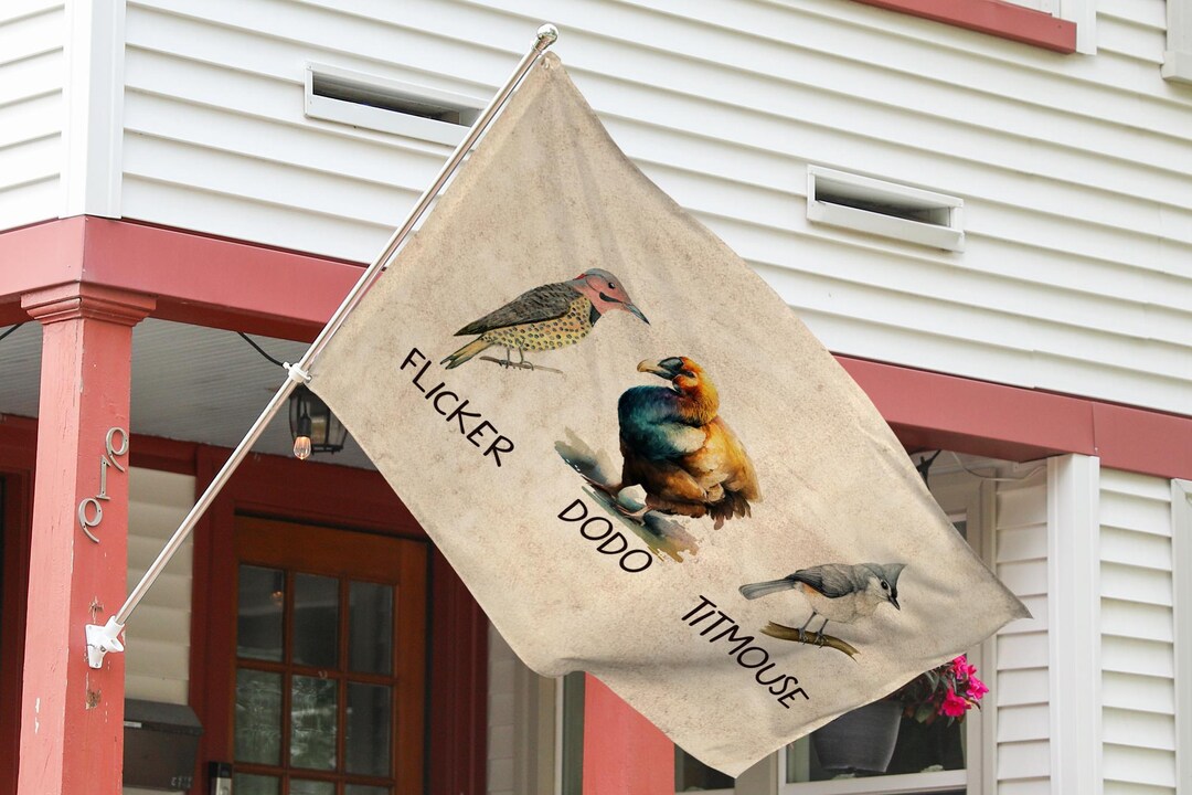 Subtle FDT Flag, Anti Maga Bird Flag, Anti Trump Gift, Liberal Flag ...