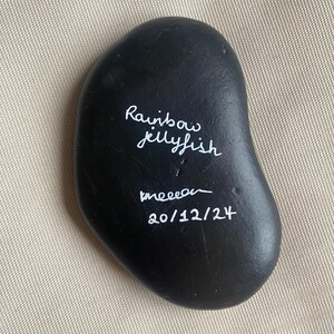 Painted Rock: Rainbow Jellyfish - Etsy