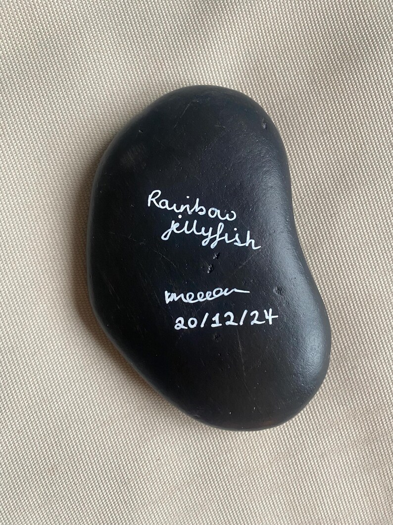 Painted Rock: Rainbow Jellyfish - Etsy