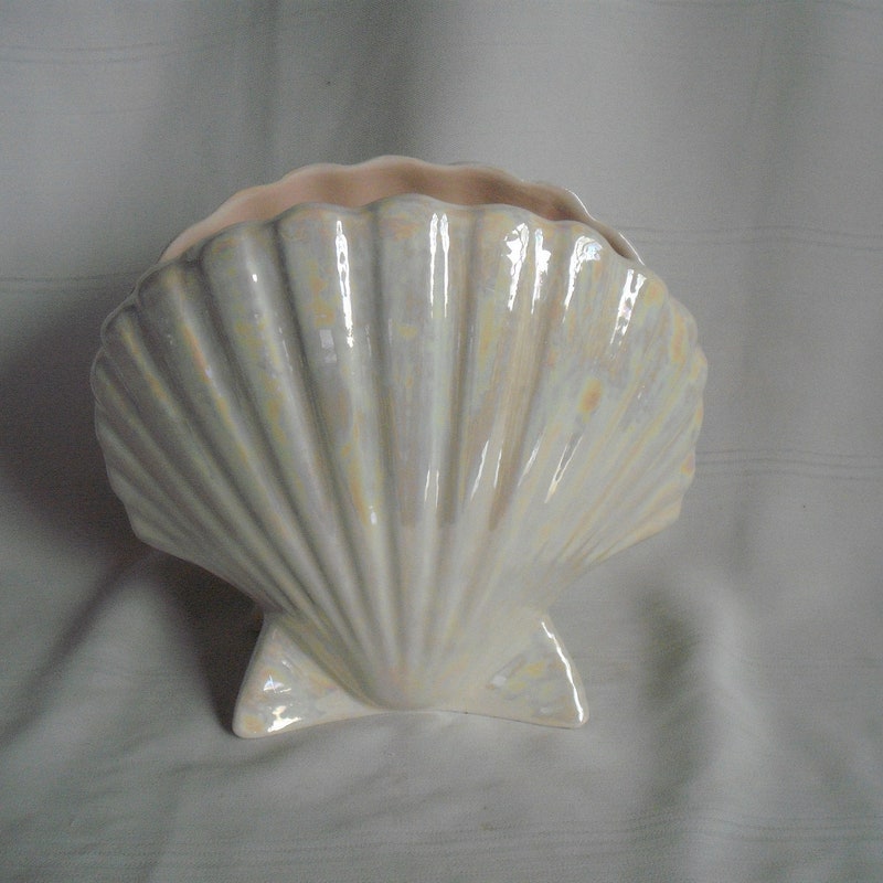 Shell Vase - Etsy