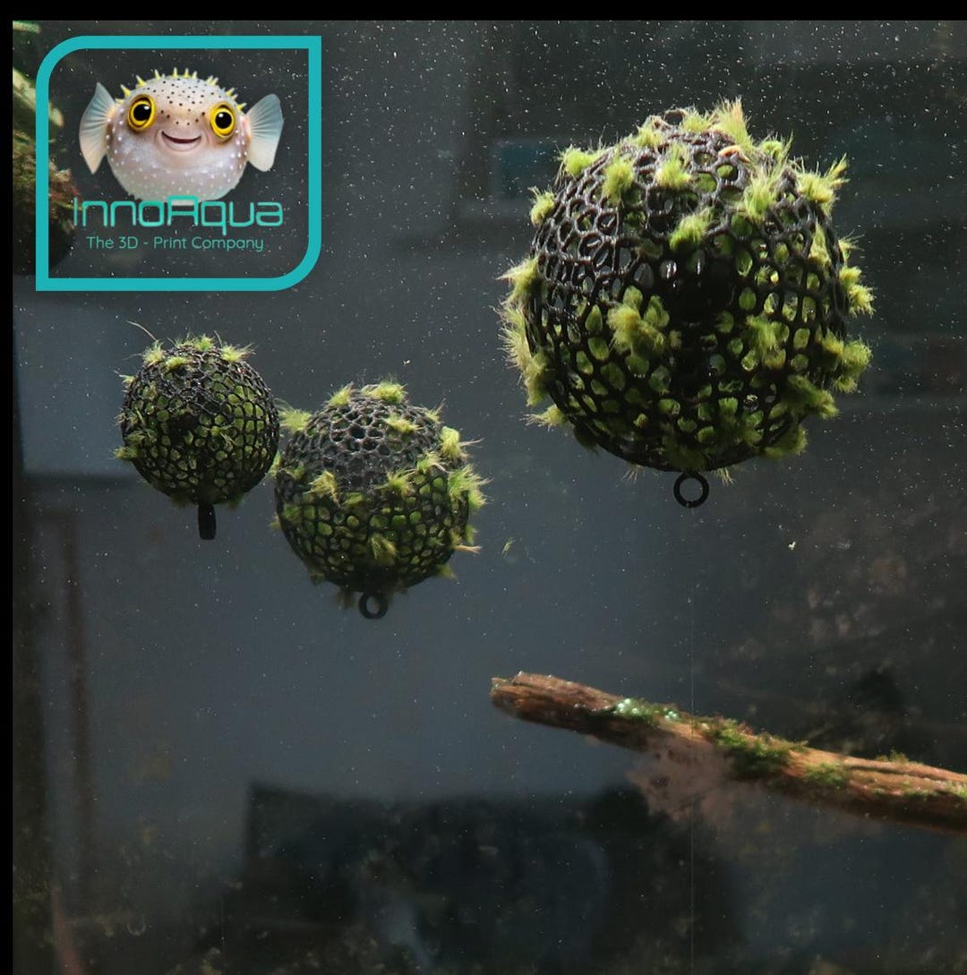 Floating Moss Ball in Various Sizes With Magnet for Shrimp - Etsy