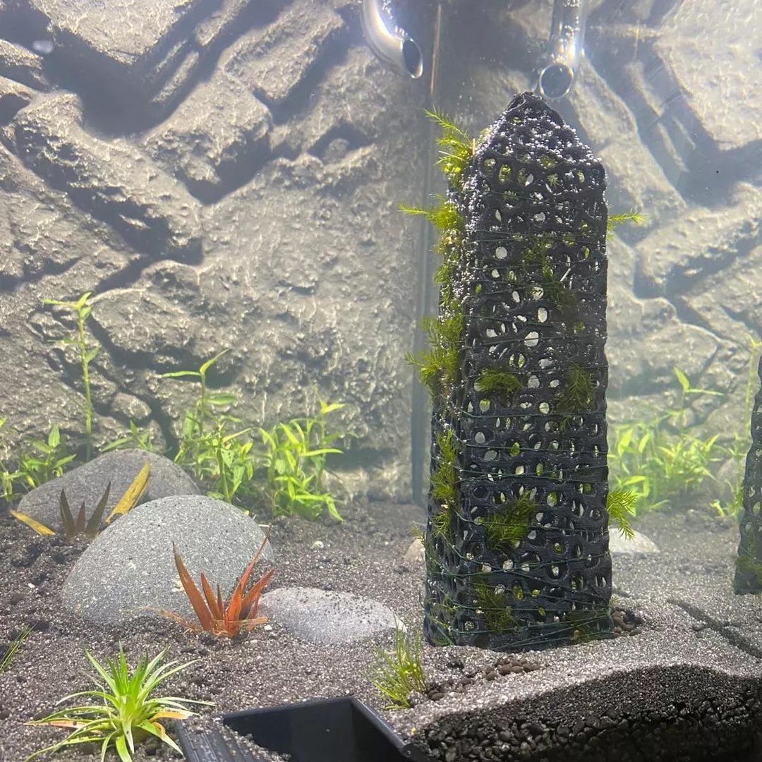 Moss Obelisk With Three or Four Sides as a Planting Aid and Structure ...