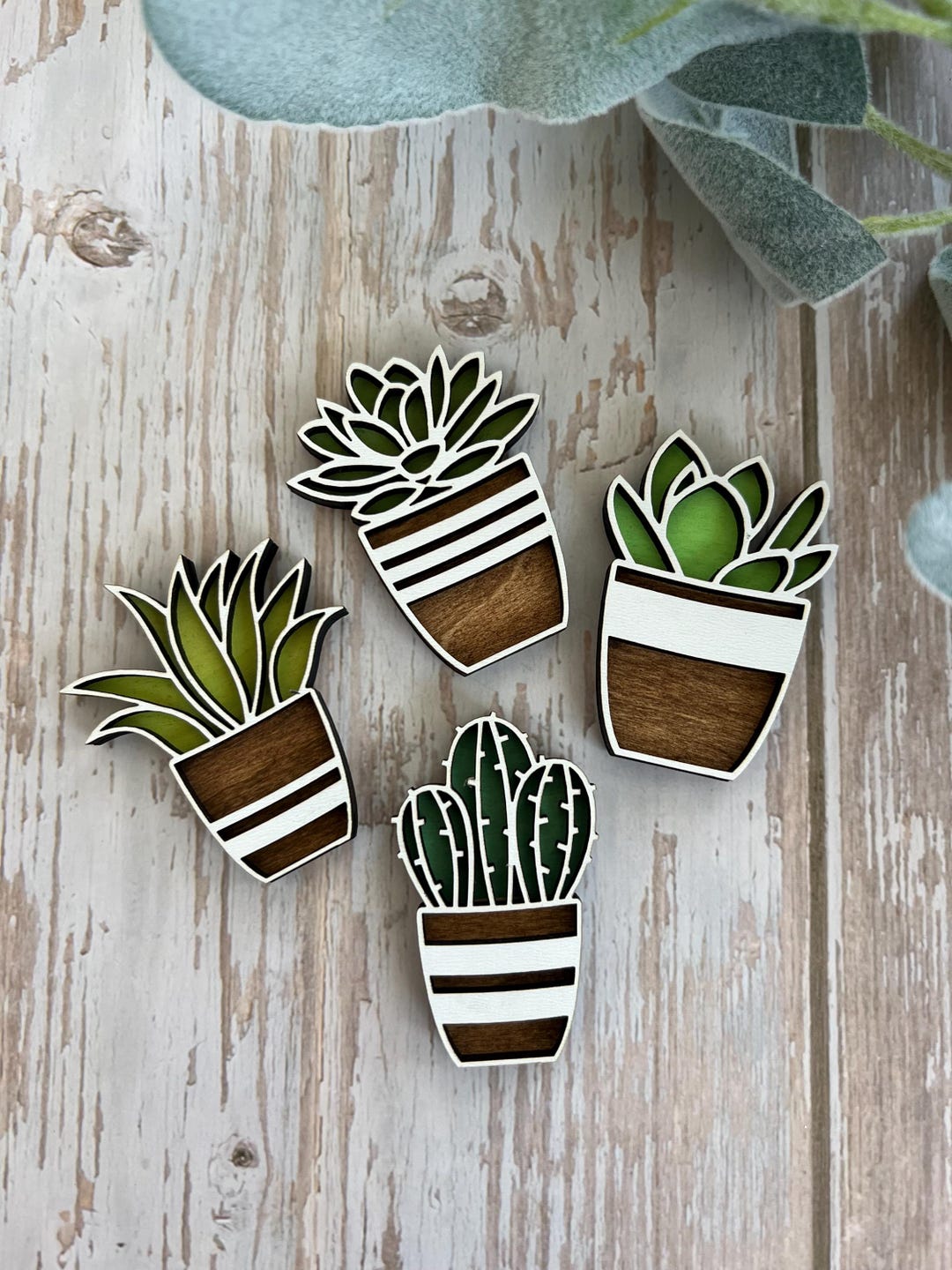 Succulent Magnets, Plant Magnet, Plant Lover Magnet, Plant Decor ...