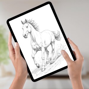 30 Majestic Horse: Coloring Book Stunning Mustang Pages, Printable PDF ...