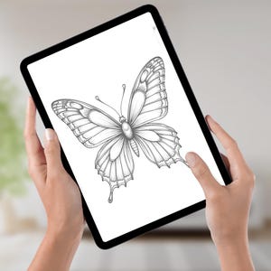 57 Butterflies: Coloring Book, Mindfulness Butterfly Coloring Pages ...